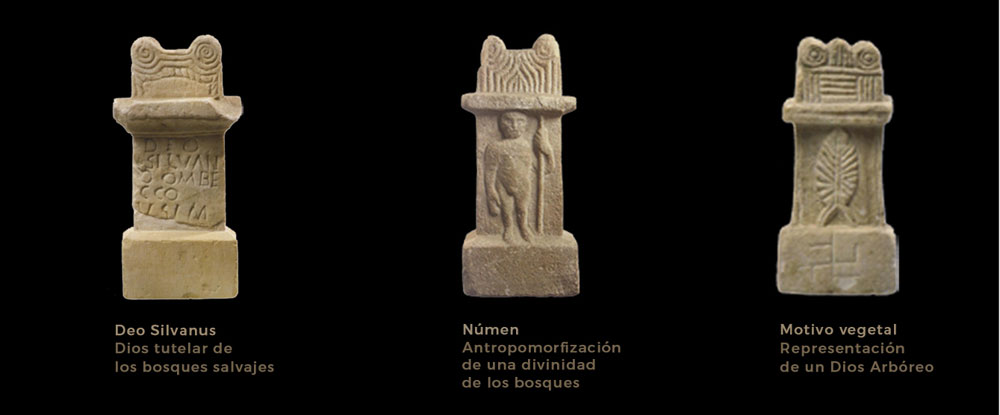 Consciencia Arbórea