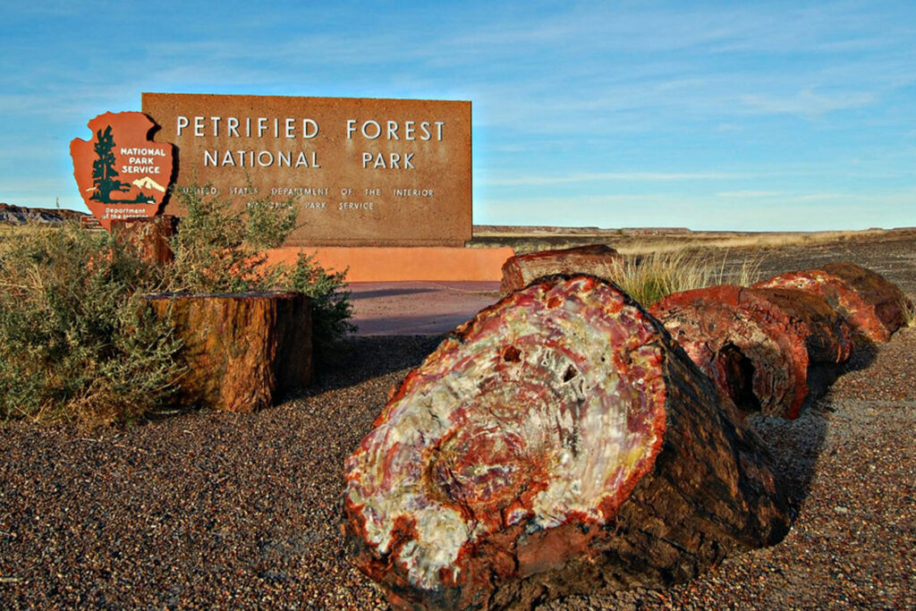 Parque Nacional Del Bosque Petrificado De Arizona Parque Nacional Del
