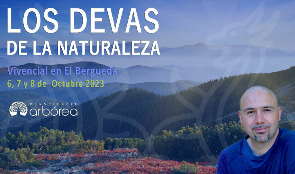 Los Devas de la Naturaleza - Consciencia Arbórea