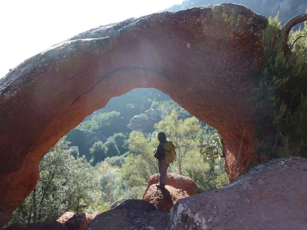 Lugares mágicos y Sagrados - Gavà - Barcelona - Consciencia Arbórea